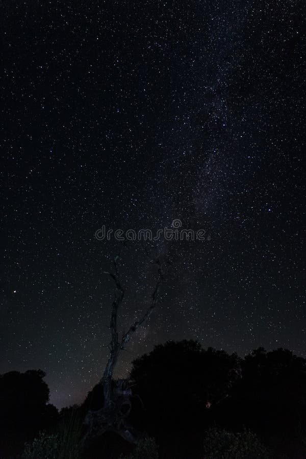 Vertical Shot of a Mesmerizing Starry Night Sky Stock Image - Image of ...