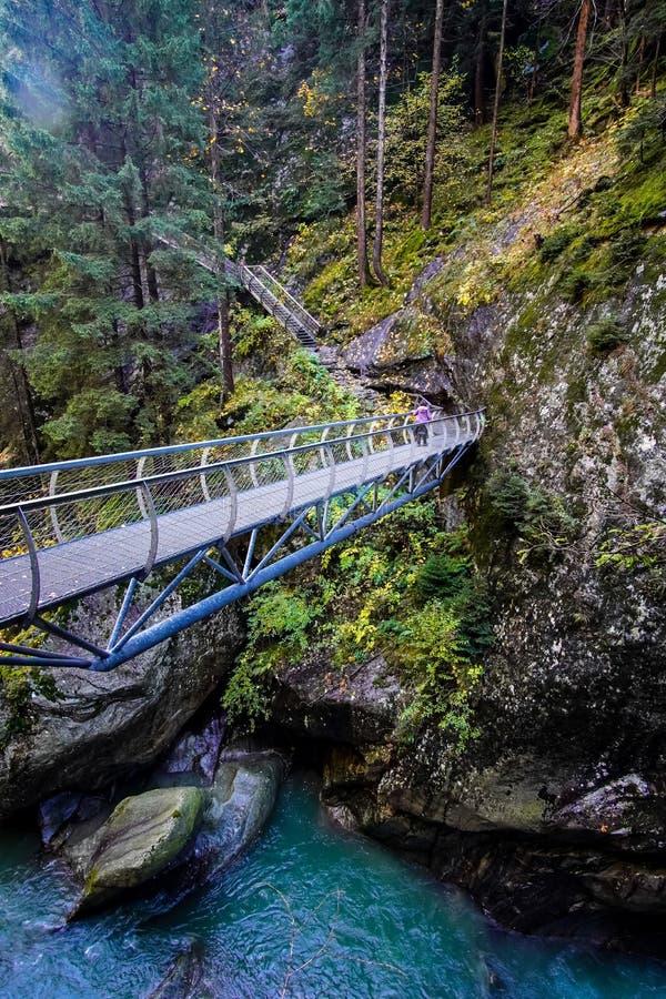 Vertical Shot of a Metal Bridge Above the River in a Forest Stock Image ...