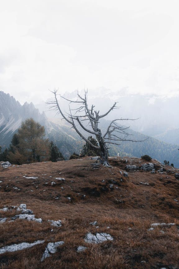 Vertical Shot of the Misty Rocks Stock Photo - Image of view, nature ...