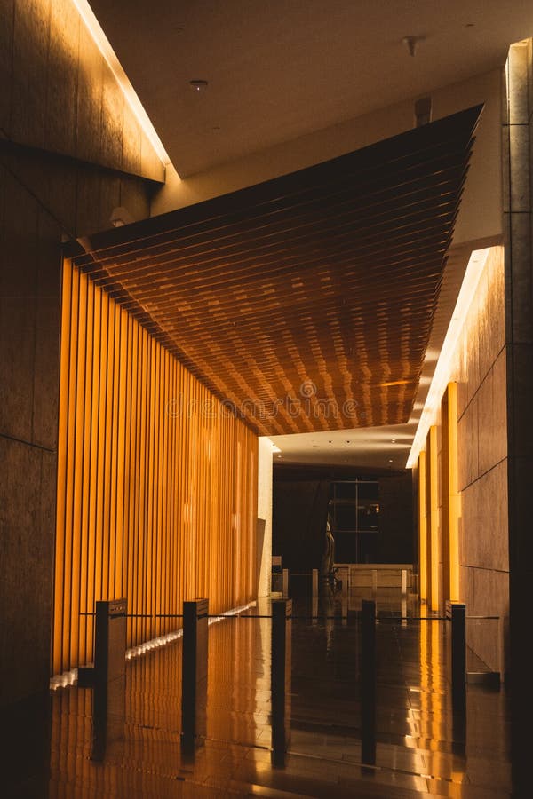 Vertical Shot of a Modern Building Hall, Suspended Ceiling and Vertical ...
