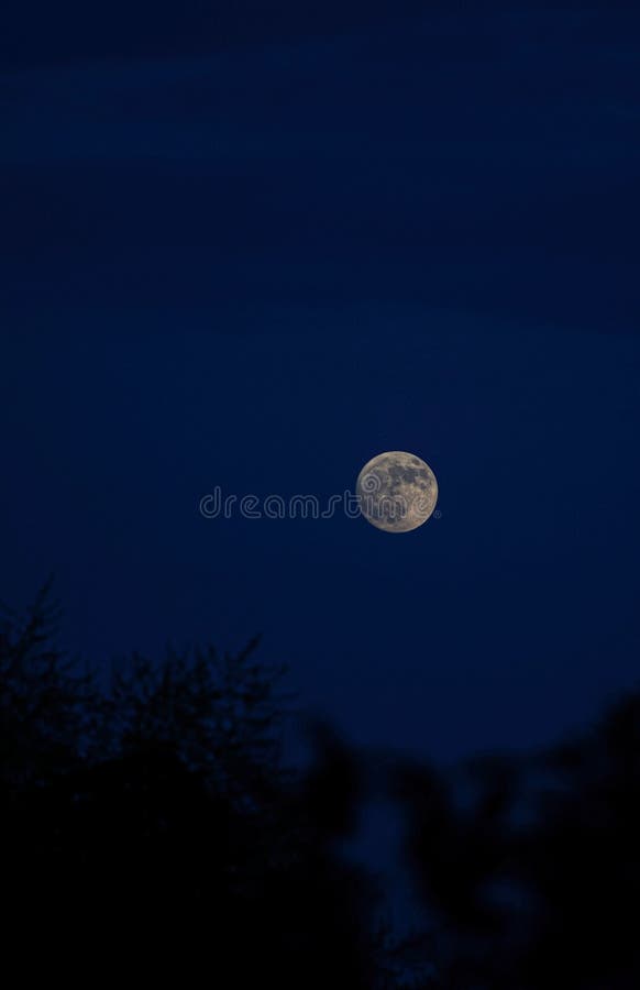 Vertical Shot of the Moon. Hungary Stock Image - Image of light ...