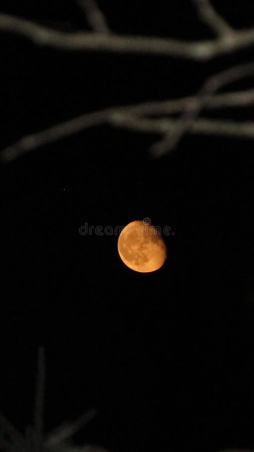 Vertical Shot of the Moon in the Night Sky Stock Photo - Image of ...