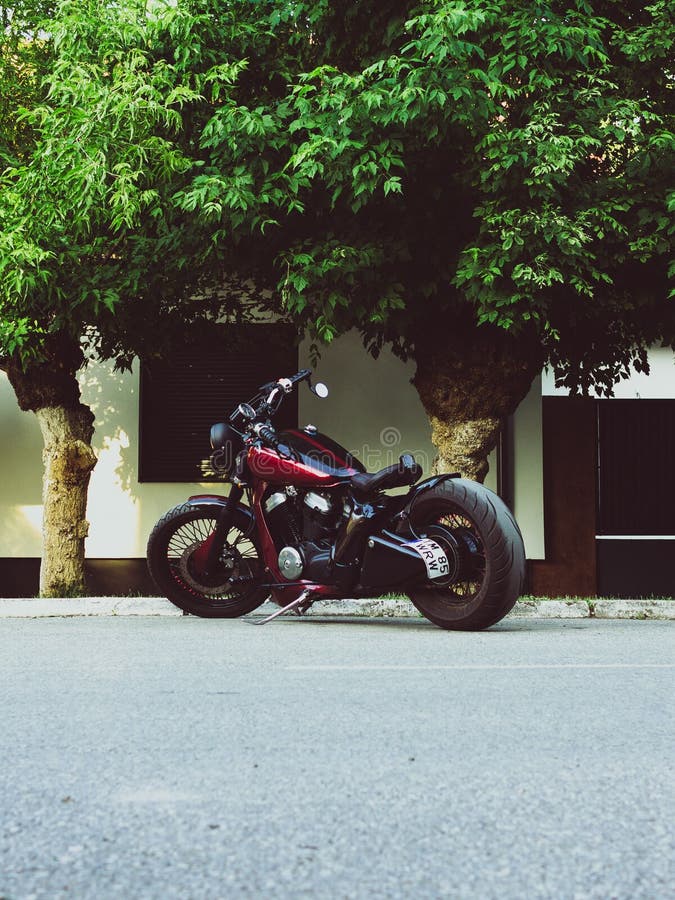 Vertical Shot of a Motorcycle Parked on Street with Trees in the ...