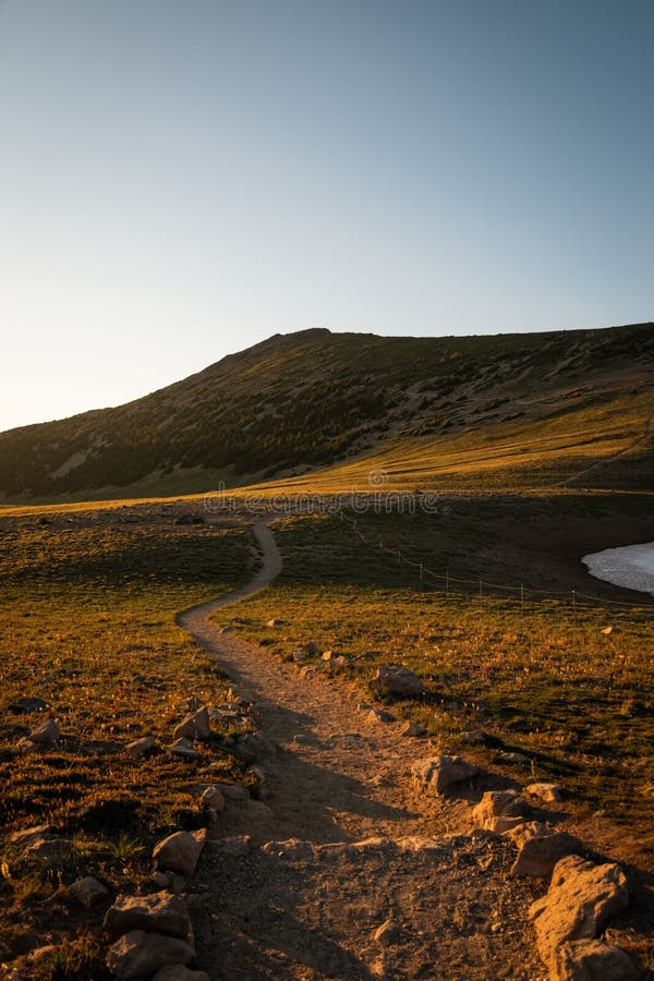 Vertical Shot of Mount Rainer National Park Covered in Greenery during ...