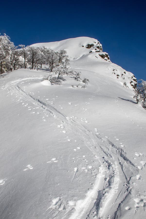 Vertical Shot of Mountain Summit Covered with Clean White Snow with ...