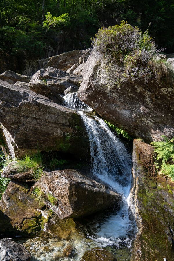 Vertical Shot of Mountainous River Steam Waterfall into Stones with ...