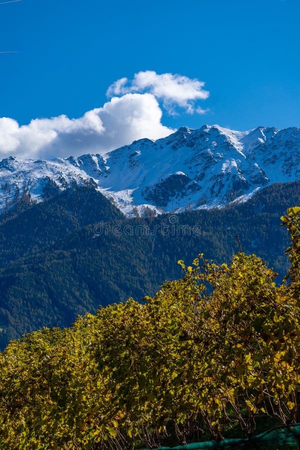 Vertical Shot of Mountains with Trees Under Blue Sky Stock Photo ...