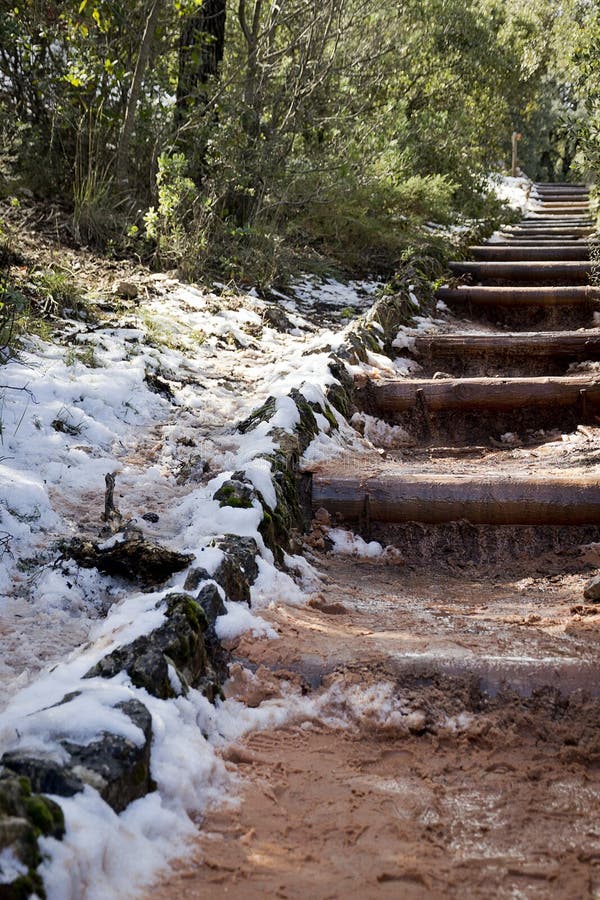 Vertical Shot of Muddy Steps in a Forest Covered with Snow Stock Image ...