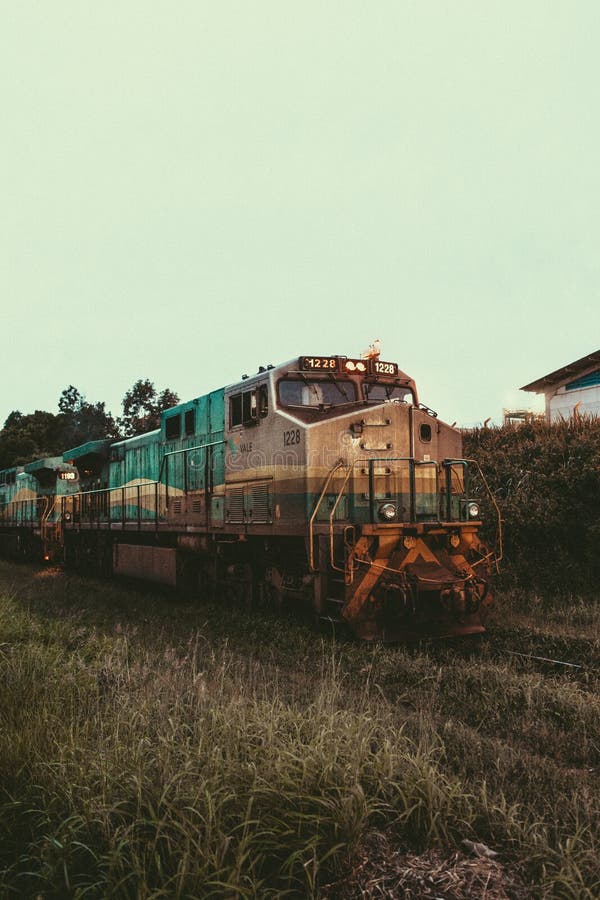 Vertical Shot of a Multi-colored Train in a Field with Trees during ...