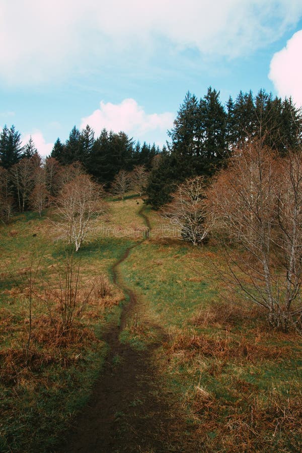 Narrow Path in the Countryside Surrounded by Green Valley Stock Photo ...