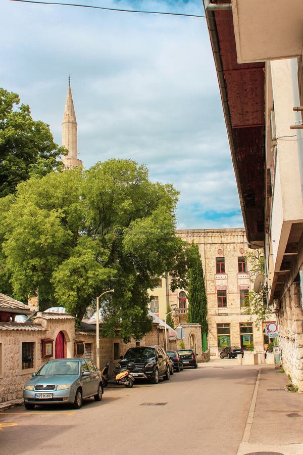 Vertical Shot of a Narrow Street with Green Trees Editorial Photography ...
