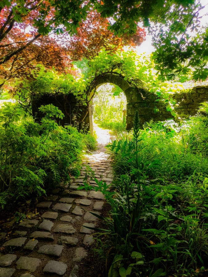 Vertical Shot of a Narrow Walkway and a Building with an Arch ...