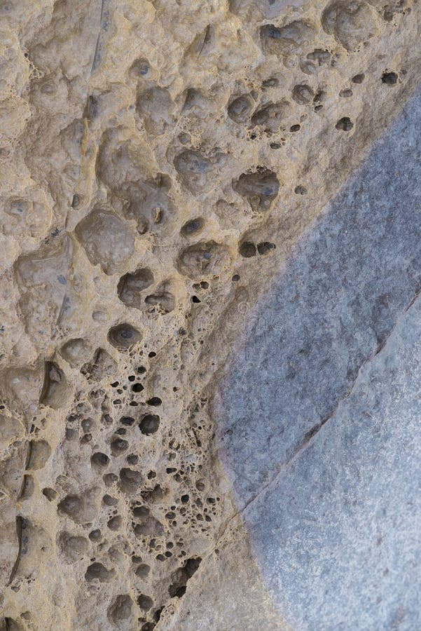 Vertical Shot of a Natural Rock Texture Stock Image - Image of light ...