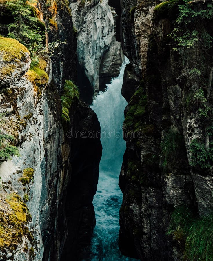 Vertical Shot of a Nature Landscape in Jasper National Park, Alberta ...