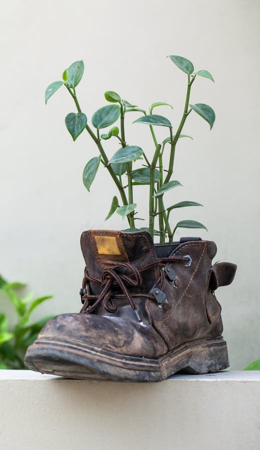 Old boot plant pots stock image. Image of garden, planter - 134011631