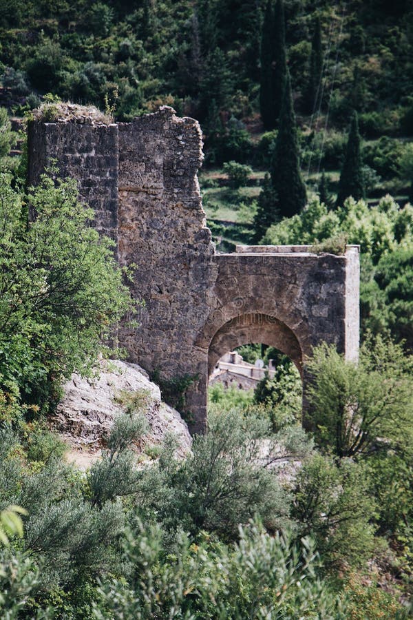 Vertical Shot of an Old Gate Wall in the Forest Stock Image - Image of ...