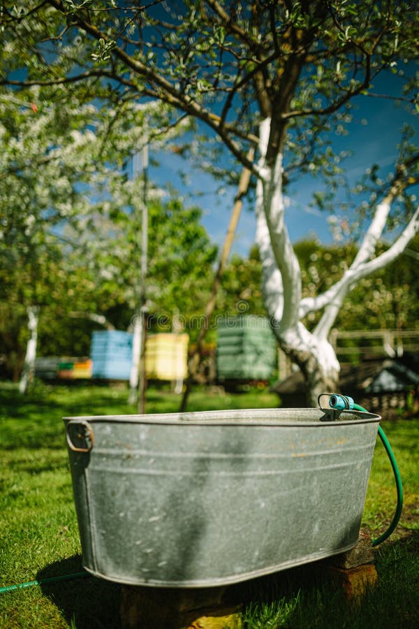 Vertical Shot of an Old Metal Basin Under the Tree Stock Photo - Image ...