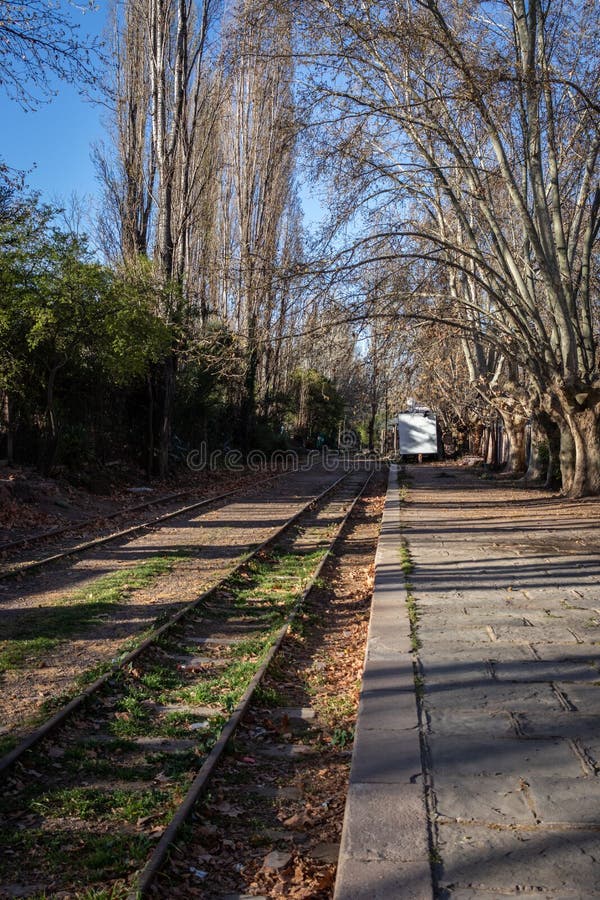 Vertical Shot of an Old Railway Track Surrounded by Bare Trees Stock ...
