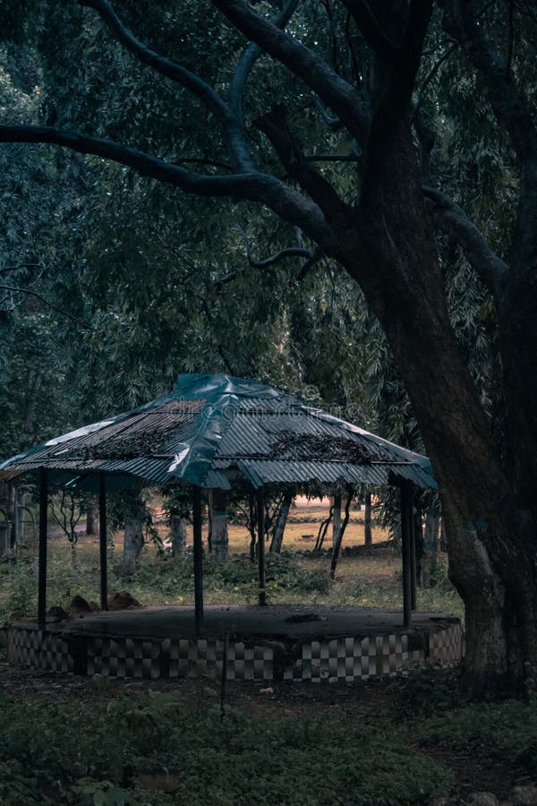 Vertical Shot of an Old Stage with a Roof in a Park Under the Trees ...