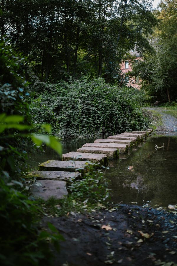 Vertical Shot of Old Stone Steps on a River Surrounded by Greenery in a ...