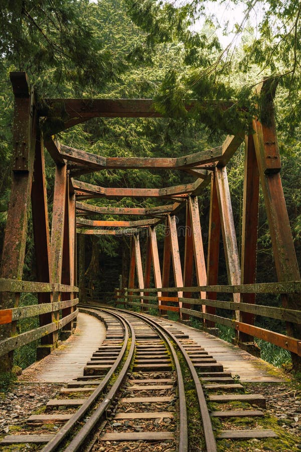 Vertical Shot of Old Train Tracks in a Forest in Alishan, Taiwan Stock ...