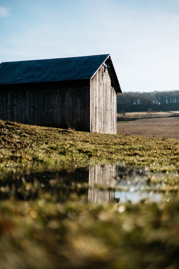 Vertical Shot of an Old Wooden Barn and Its Reflection on a Puddle ...