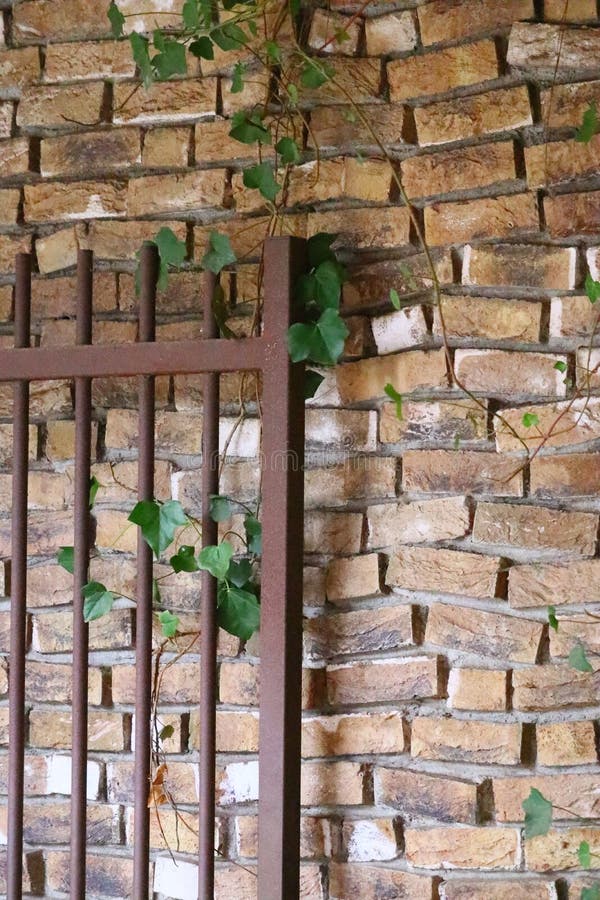 Vertical Shot of an Open Metal Gate Near a Brick Wall Stock Image ...