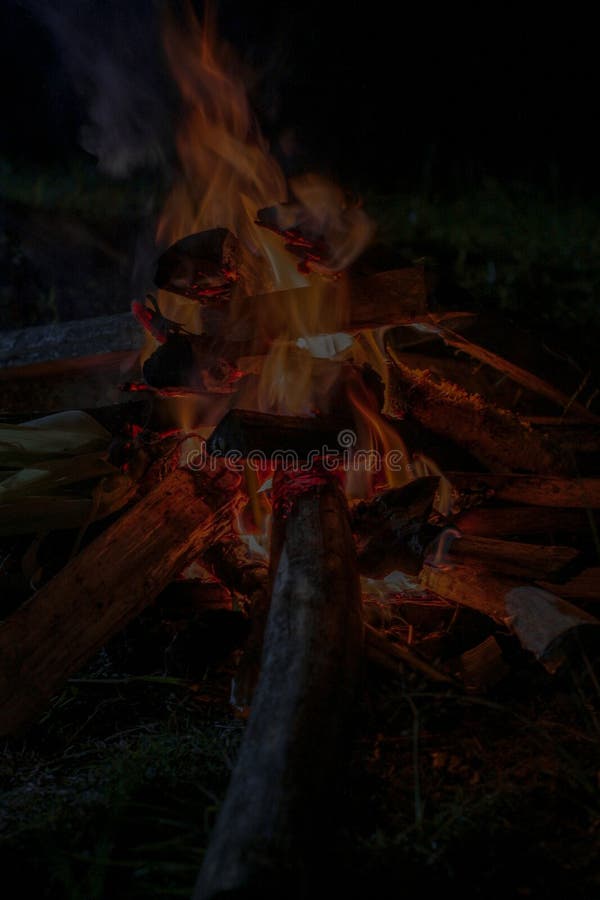 Vertical Shot of the Orange Campfire Burning Beautifully Outdoors Stock ...