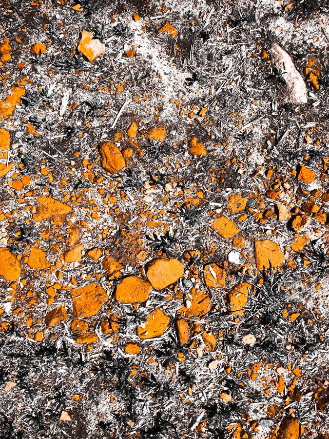 Vertical Shot of Orange-colored Rocks on the Ground Stock Photo - Image ...
