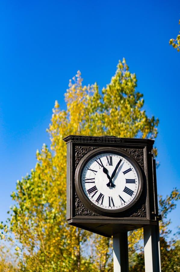 Vertical Shot of an Outdoor Clock on a Pipe Surrounded by Trees Under ...
