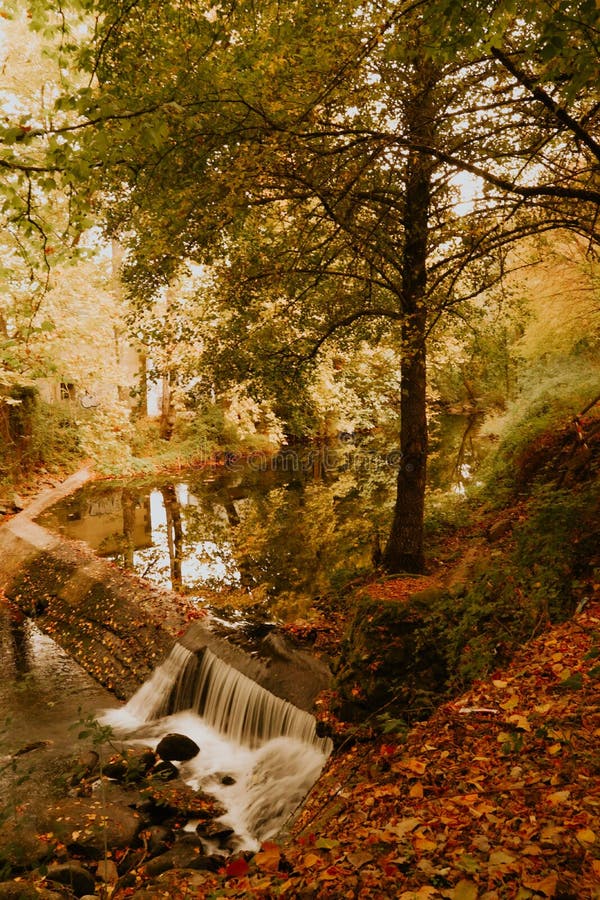 Vertical Shot of a Park with a Waterfall at the Bottom in Autumn, with ...