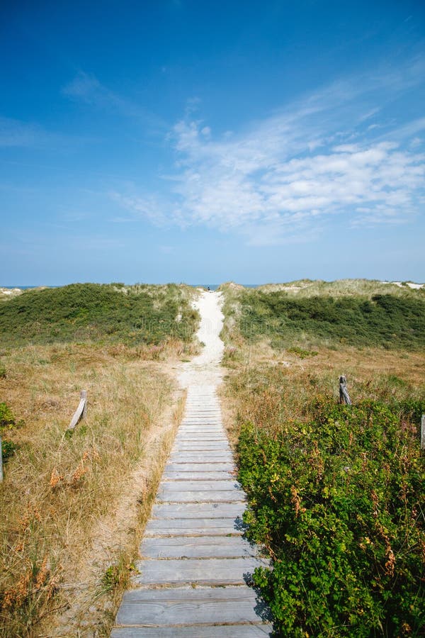 Vertical Shot of a Path in Grassland on a Sunny Day Stock Image - Image ...