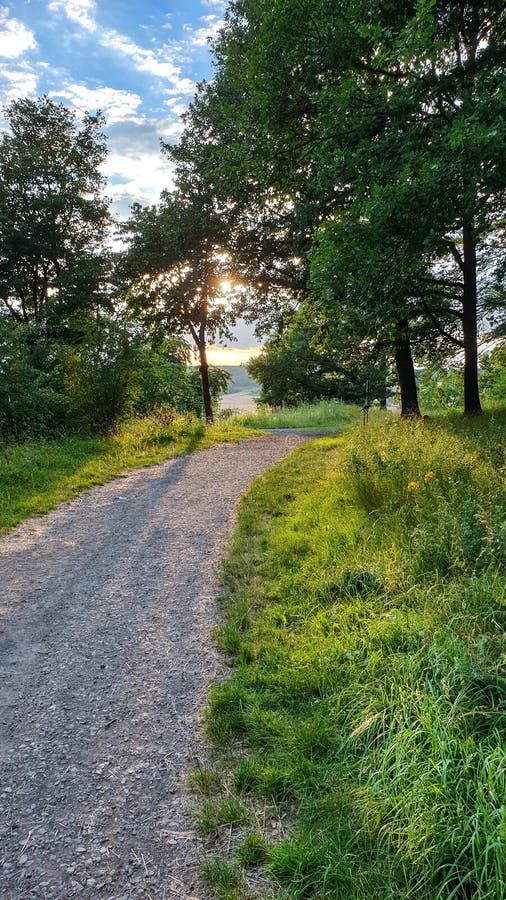 Vertical Shot of a Path in Nature at Sunlight Stock Photo - Image of ...