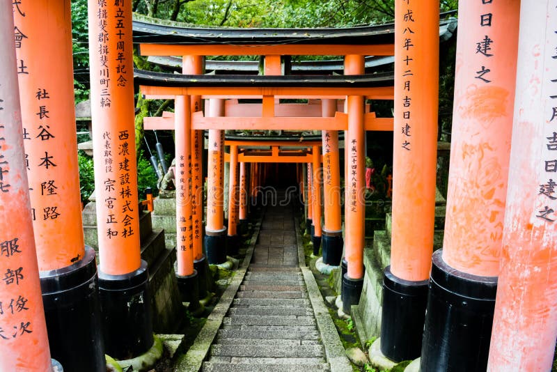 Vertical Shot of a Path Under Red Torii Gates in Kyoto Japan with Trees ...