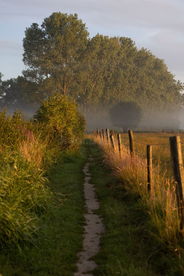 Vertical Shot of a Pathway in a Forest Under the Clouds Stock Image ...