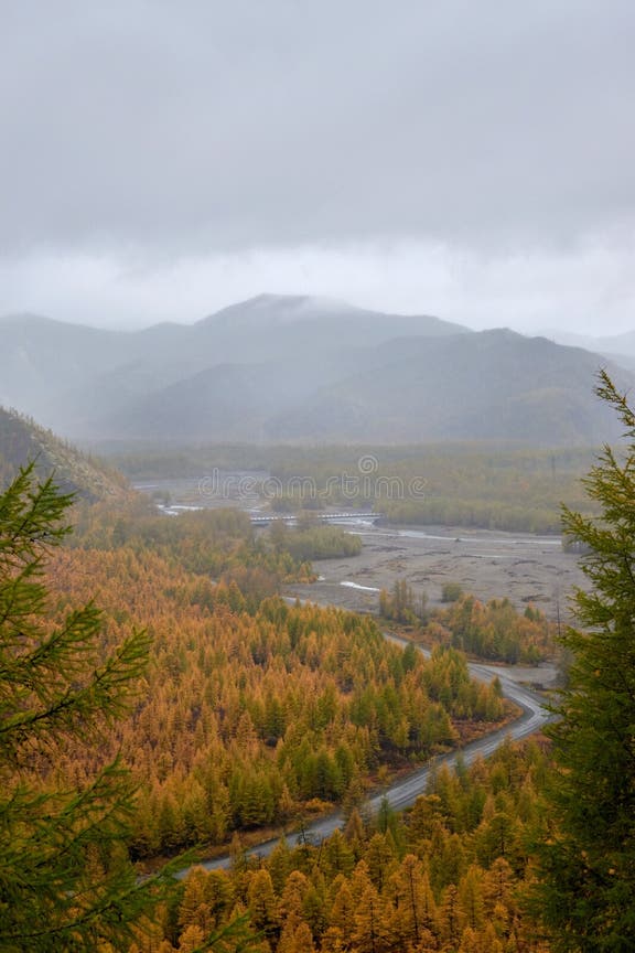 Vertical Shot of a Pathway in the Middle of Forested Mountains Under a ...