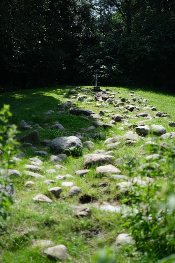 Vertical Shot of a Pathway from Rocks in a Green Forest Stock Photo ...