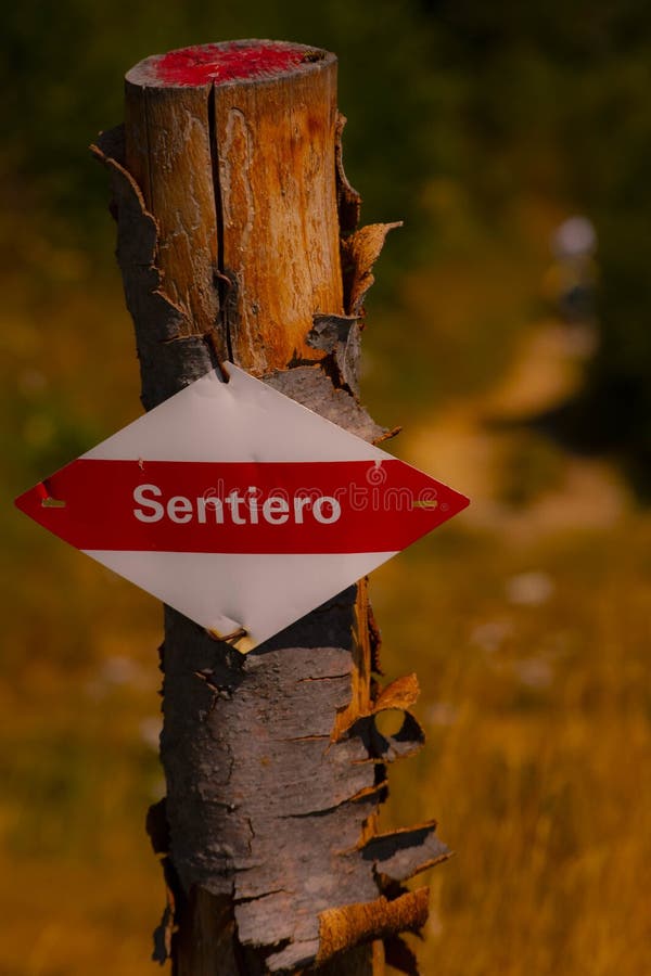 Vertical Shot of a Pathway Sign on Wooden Log Stock Photo - Image of ...
