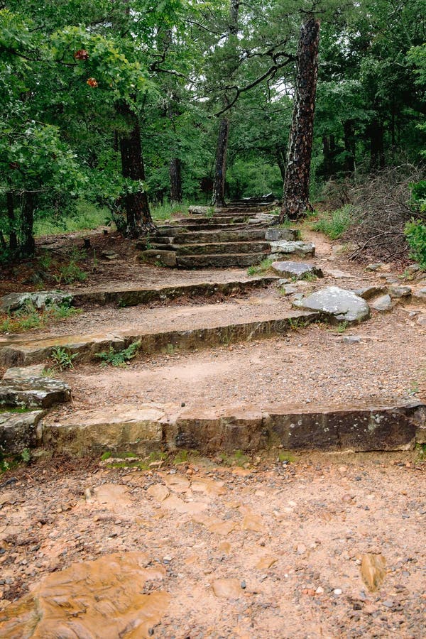 Vertical Shot of Pathway Stairs Going To a Forest Stock Photo - Image ...