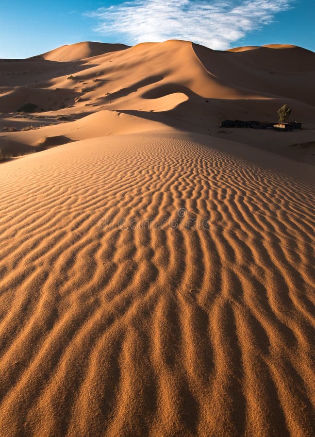 Vertical Shot of the Patterns on the Beautiful Sand Dunes in the Desert ...