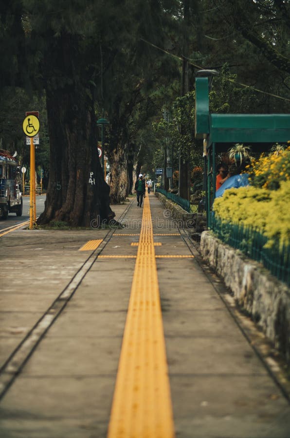 Vertical Shot of a Paved Pedestrian Walkway by the Garden Stock Image ...