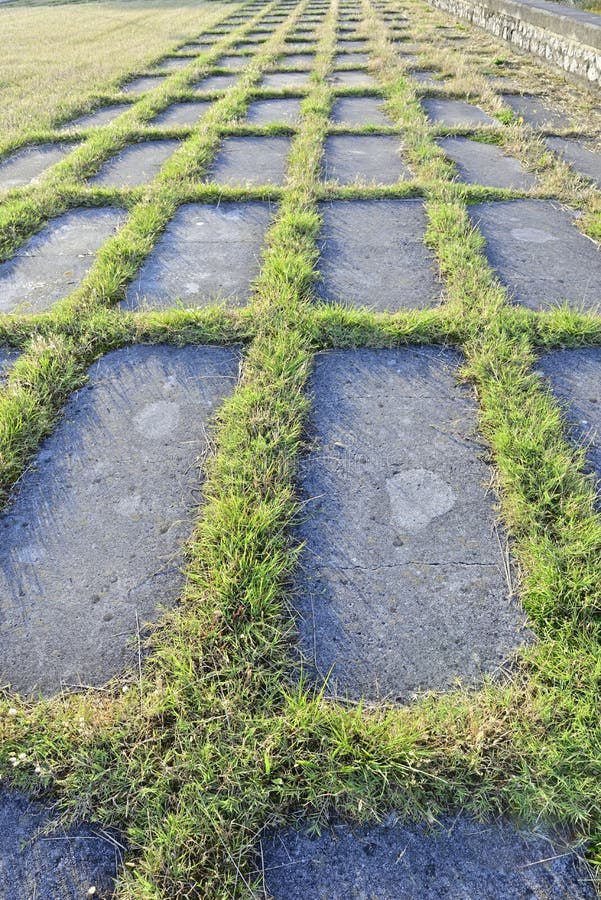 Framed grass stock image. Image of bright, decoration - 65116161