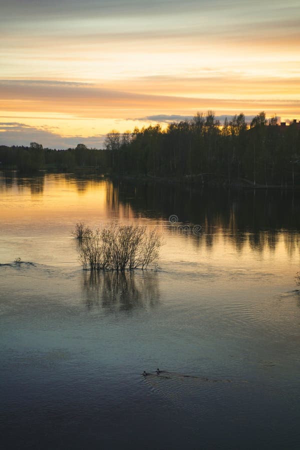 Vertical Shot of a Peaceful River with Trees at Sunset in Sweden Stock ...