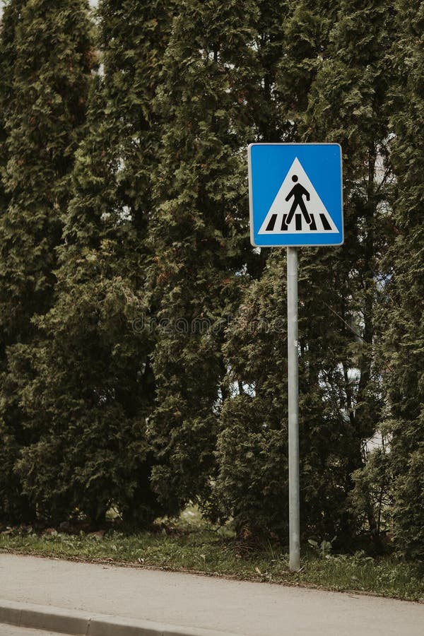 Vertical Shot of a Pedestrian Crossing Sign Stock Photo - Image of ...