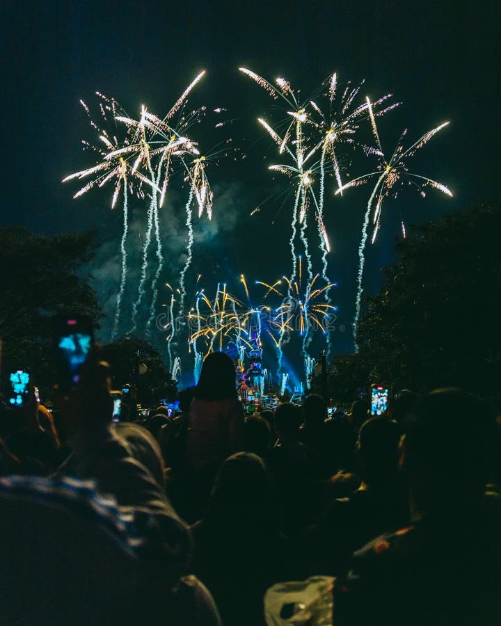 Vertical Shot of People S Crowd at an Event with Beautiful Fireworks at ...