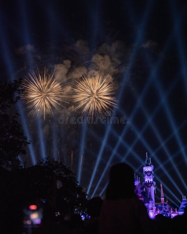 Vertical Shot of People S Crowd at an Event with Beautiful Fireworks at ...