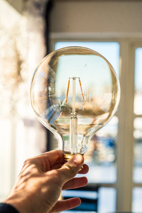 Vertical Shot of a Person Holding a Light Bulb in Their Hands Stock ...