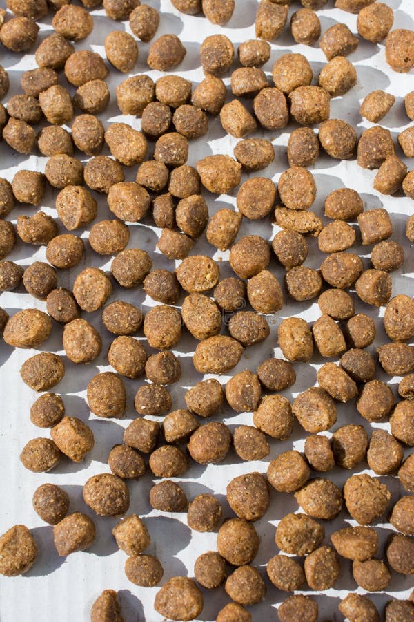 Vertical Shot of Pet Food Pieces Scattered on a White Surface Stock ...