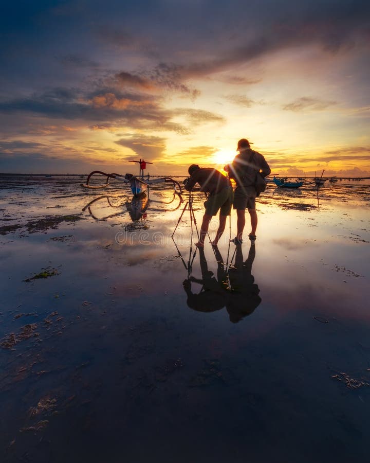 Vertical Shot of Photographers Taking Photos at the Beach Stock Photo ...
