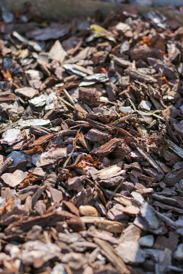 Vertical Shot of a Pile of Cut Tree Bark with Some Dry Leaves Stock ...